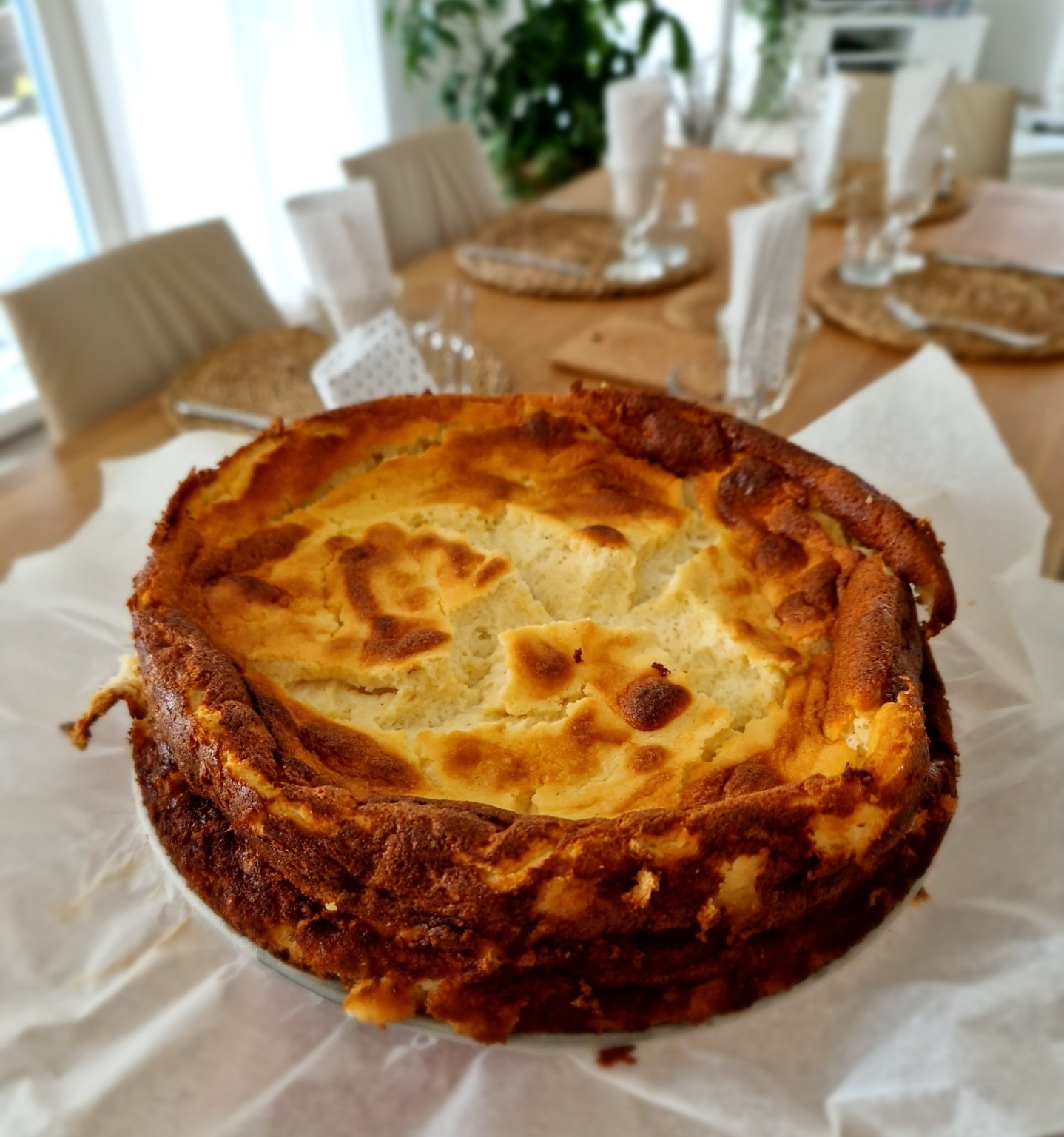 Mein Souvenir aus Korsika – der Käsekuchen Fiadone - Susan Diethelm